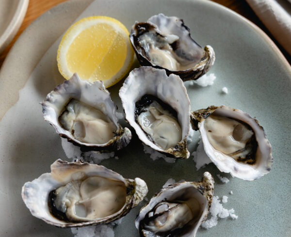 Eat & Drink at Flinders Hotel - Coastal Dining with Local Flavours